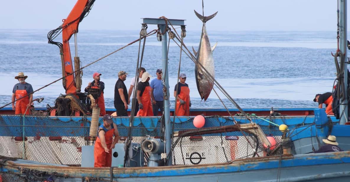 Barbate: Boat Tour to the Almadraba of Conil (Tuna Fishing) | GetYourGuide