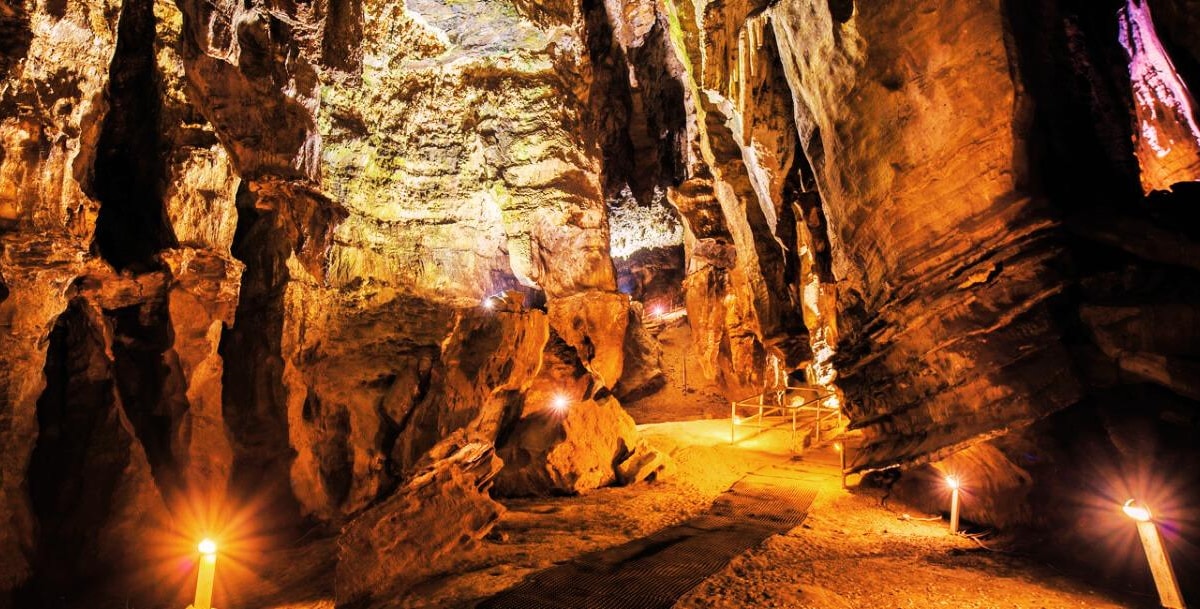 From Johannesburg: Cradle of Humankind Tour | GetYourGuide