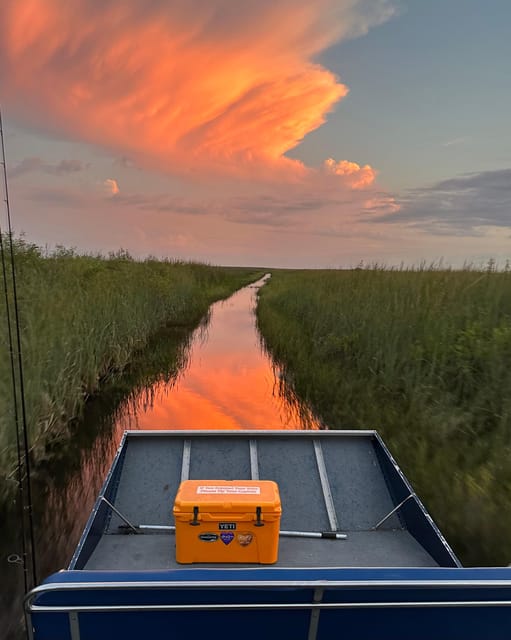 Everglades: Summer Sunset Tour on Small Private Airboat | GetYourGuide