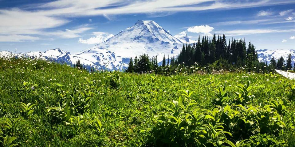 THE 15 BEST Mountains in Seattle (2025) | BusBuster