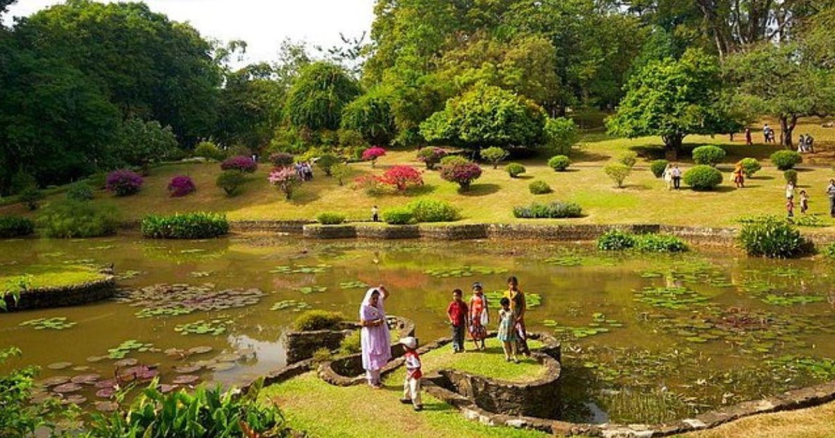 Kandy: Full Day Private Custom City Tour! | GetYourGuide