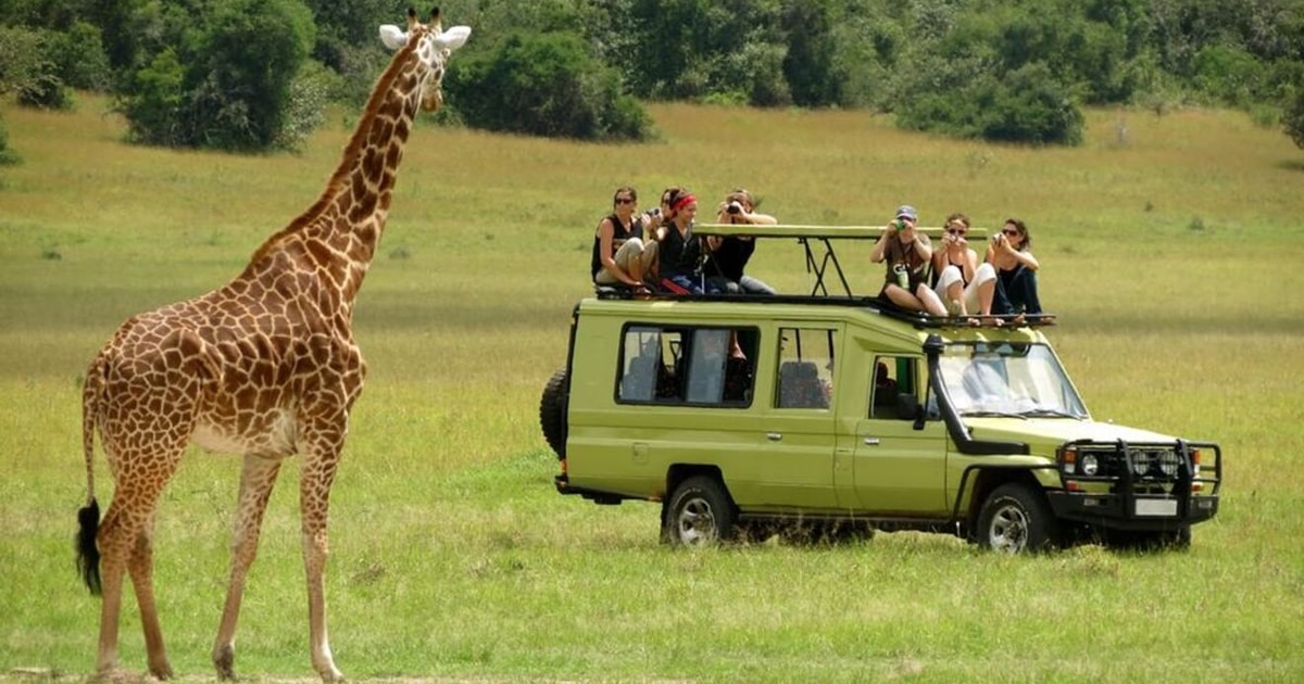 2 Days Mikumi National Park | GetYourGuide