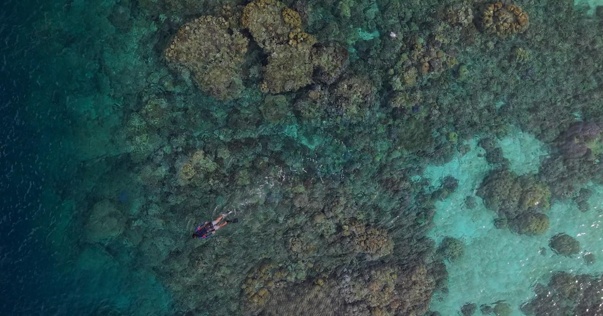 Phuket: Surin Islands & Moken Village By Premium Catamaran | GetYourGuide