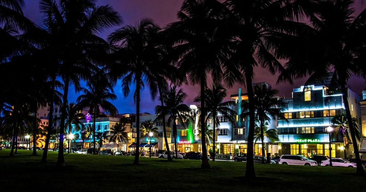 Miami by Night: City and Beach Lights Panoramic Tour | GetYourGuide