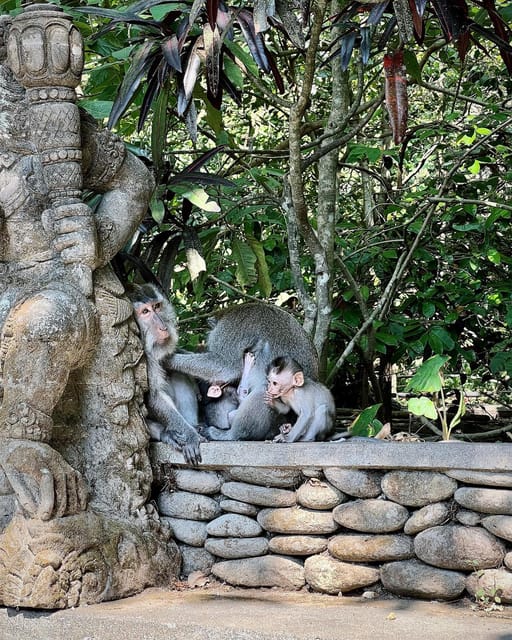 Bali: Highlights Top Sights Places In Ubud with Transfer | GetYourGuide