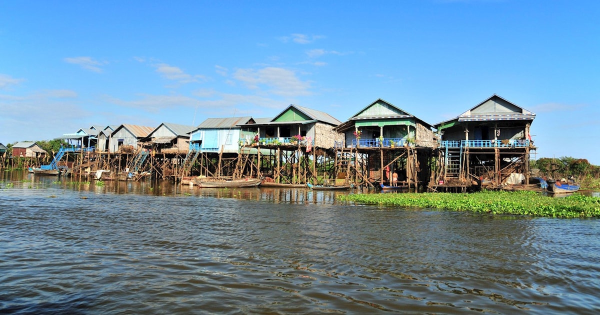 Siem Reap: Bird Watching at Prek Toal Tonlé Sap Lake | GetYourGuide