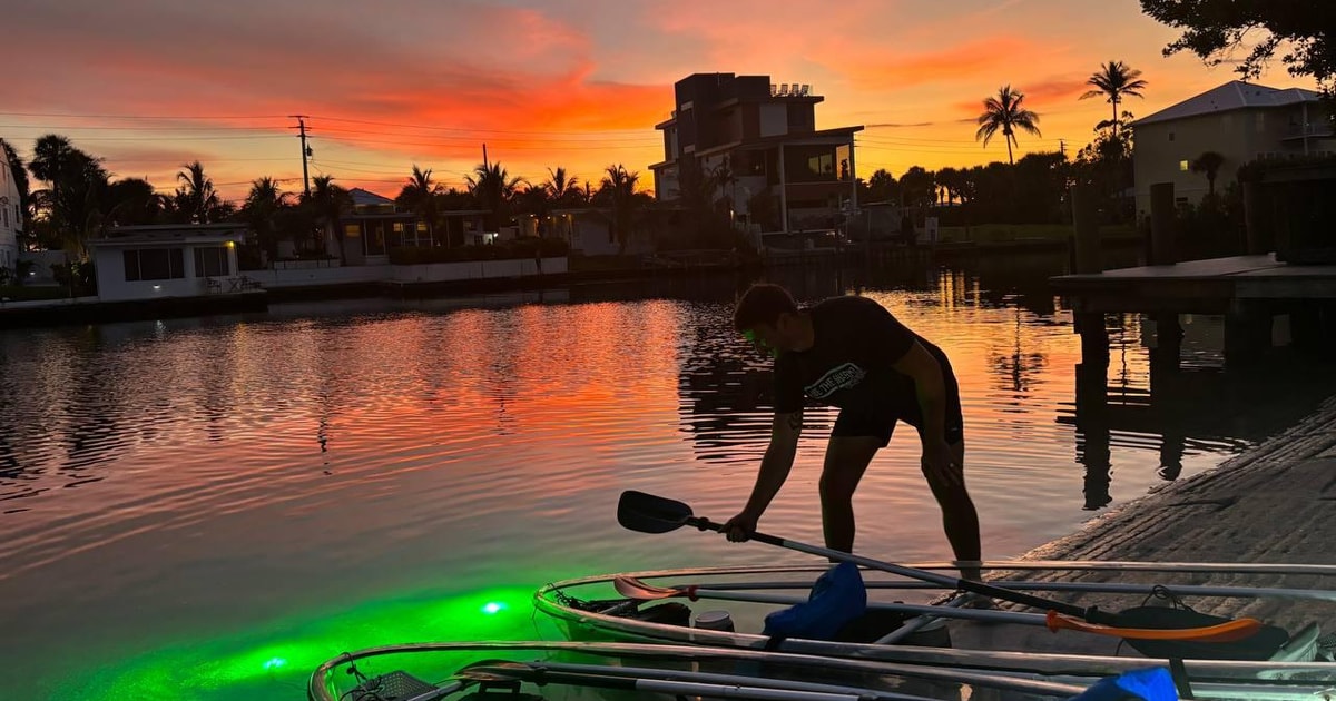 Florida: Sharkey's Guided Fish Feeding LED Night Tour | GetYourGuide