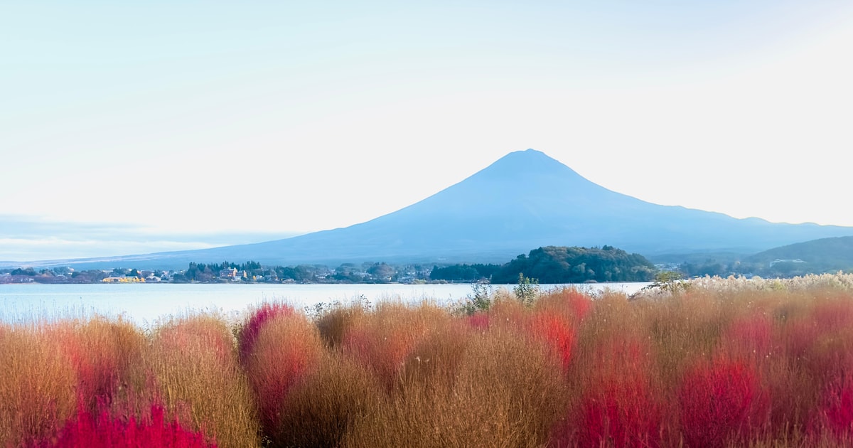 Ganztagestour mit Guide Fuji San Private One Day Tour | GetYourGuide