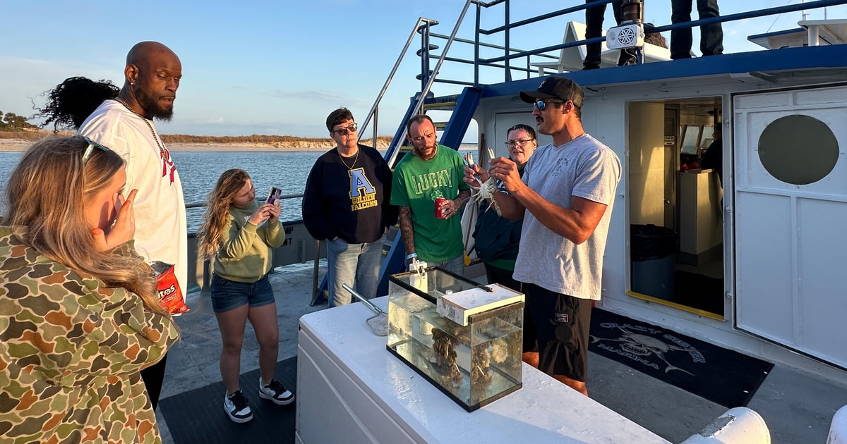 Murrells Inlet: Sunset Sealife Cruise | GetYourGuide