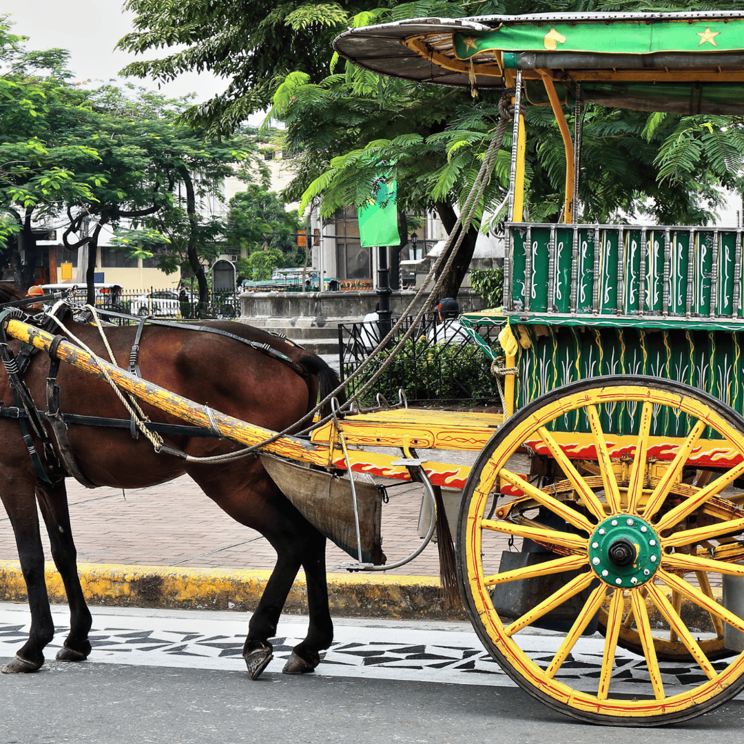 MANILA: HISTORICAL KALESA RIDE TOUR EXPERIENCE IN INTRAMUROS | GetYourGuide