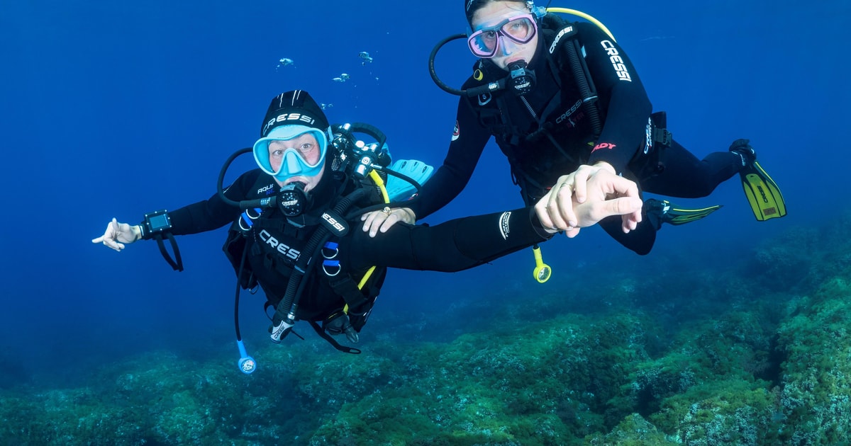 Marsiglia: battesimo subacqueo e snorkeling | GetYourGuide