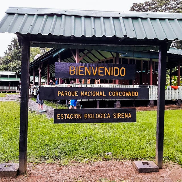 Corcovado National Park - Sirena Station - 1 night stay | GetYourGuide