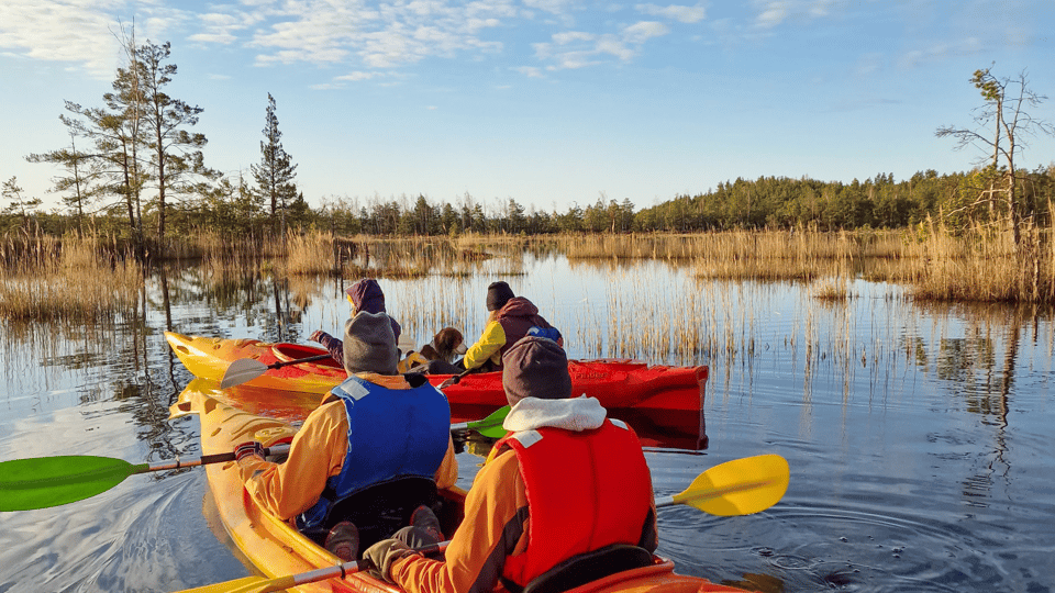 Kemeri bog: Sunrise kayak tour in swamp | GetYourGuide
