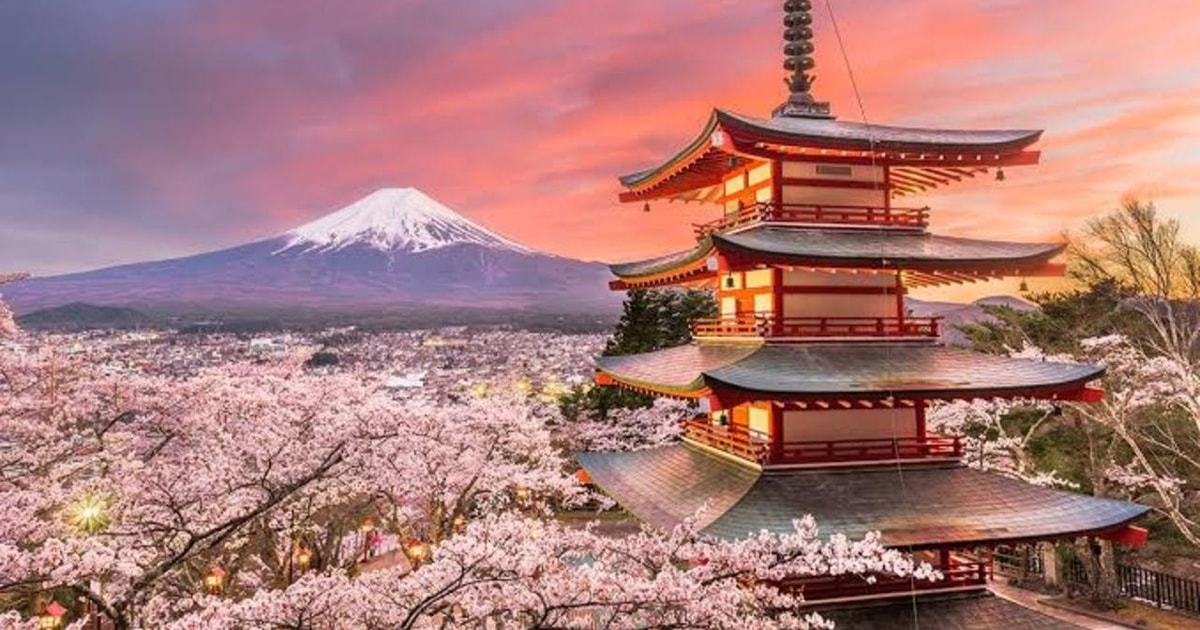 Da Tokyo: Tour panoramico privato del Monte Fuji e di Hakone | GetYourGuide