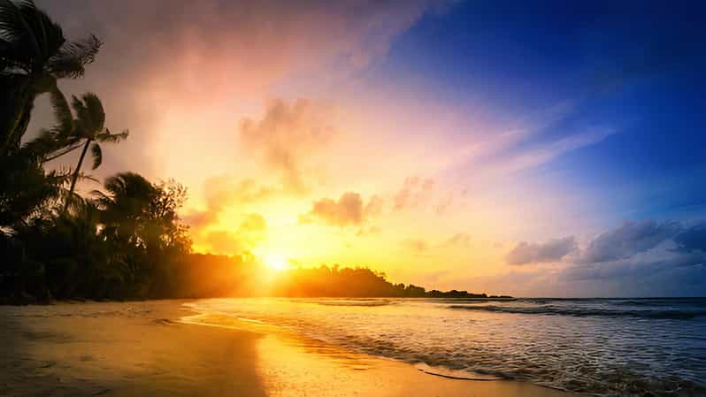 Punta Cana: Sunset Horseback Ride in Macao Beach and Forest | GetYourGuide