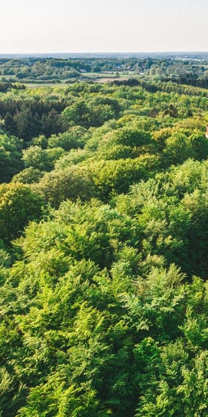 Copenhagen: The Two Forgotten Giants and Forest Tower | GetYourGuide