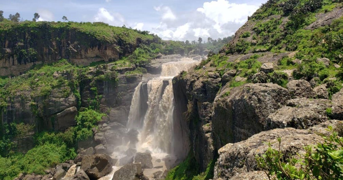 A perfect Day trip Debre Libanos and Portuguese bridge | GetYourGuide