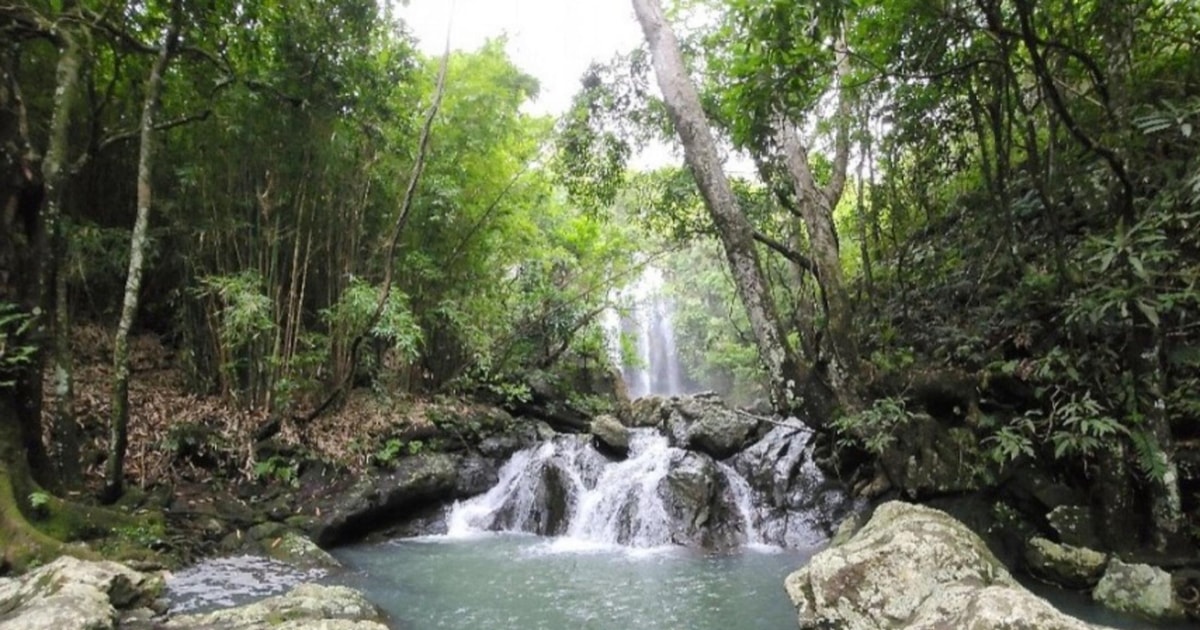 Nadi: Waterfall Tour Adventure with Refreshments and Lunch | GetYourGuide