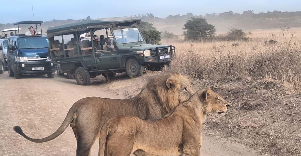 Nairobi: Rondleiding met gids door het nationale park (halve dag) met ...