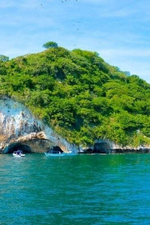 Puerto Vallarta: The Predator of the Sea | GetYourGuide