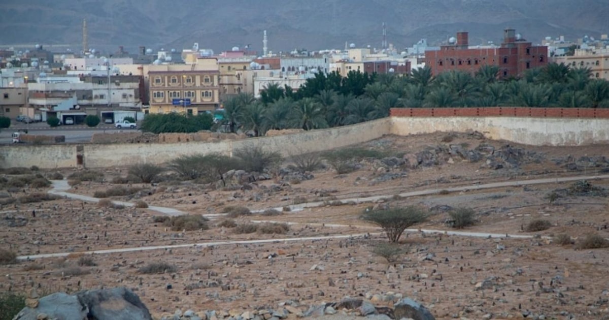 Trip to Badr | GetYourGuide