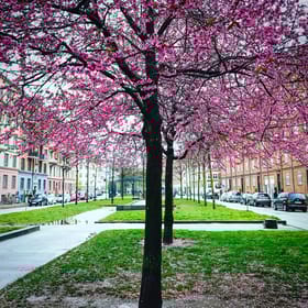 Copenhagen: Politically Incorrect Beer Tasting Walking Tour | GetYourGuide