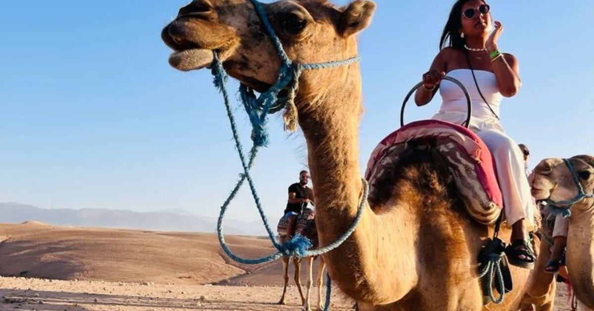 Marrakech: Agafay Desert Quad & Camel Rides with Dinner Show | GetYourGuide