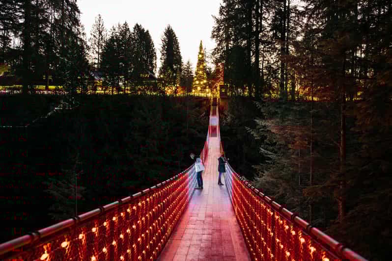 Vancouver & Capilano Suspension Bridge Sightseeing: Half-Day | GetYourGuide