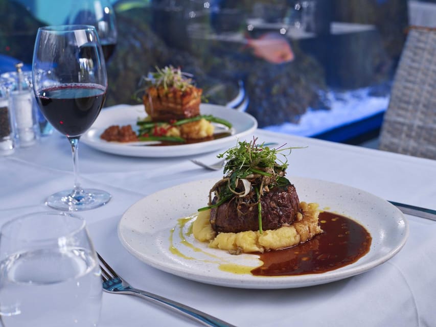 Cairns: Night at the Aquarium Guided Tour & 2 Course Dinner | GetYourGuide