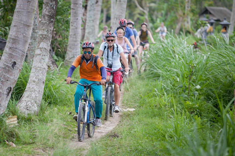 Ubud Cycling Tour : All Inclusive Cycling Adventure | GetYourGuide