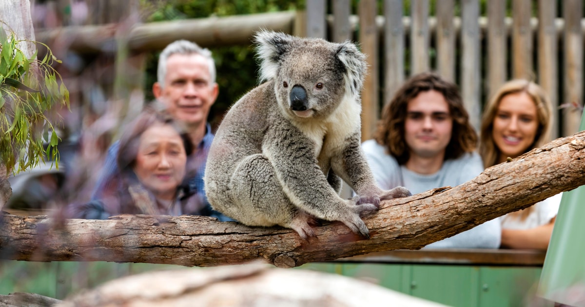 Private Day Tour in Melbourne | GetYourGuide