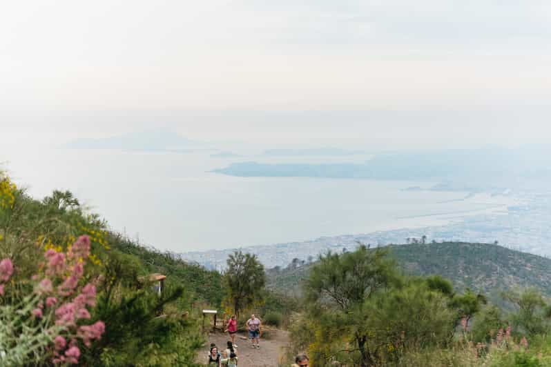 From Naples: Pompeii Ruins & Mount Vesuvius Day Tour | GetYourGuide
