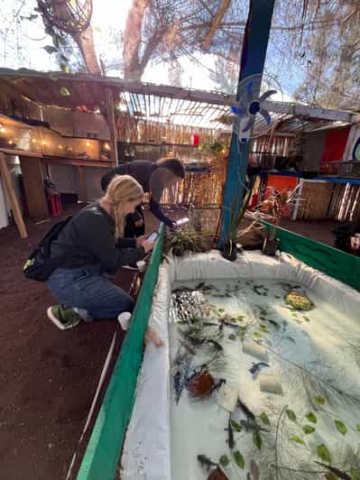 Mexico City: Sunrise with the sanctuary of the axolotl | GetYourGuide