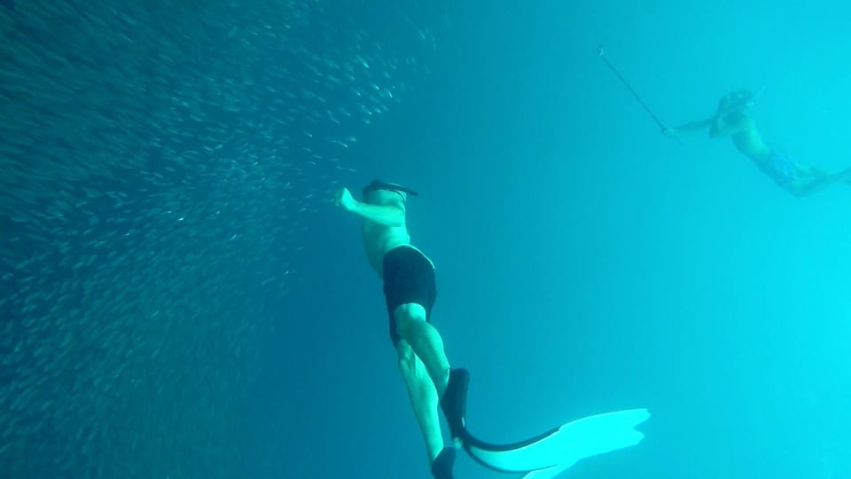 Moalboal:Dive Pescador Island, Sardine Run & Turtle Paradise | GetYourGuide