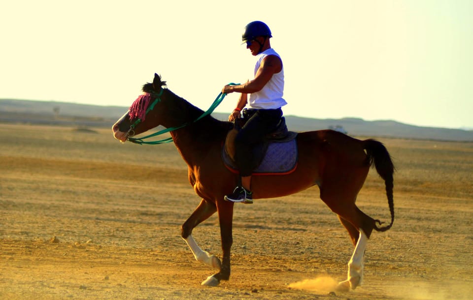 Marsa Alam: Sea and Desert Horse Riding Tour | GetYourGuide