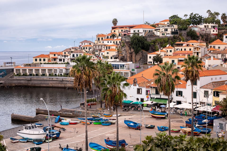 Funchal: Hop-on Hop-off buss och val- och delfinbåt utflykt | GetYourGuide