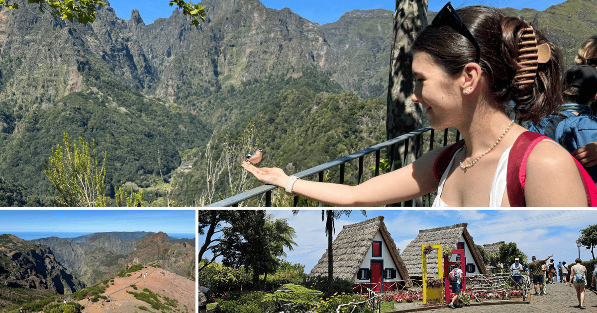 Madeira: Pico do Arieiro e Foresta di Laurissilva - tour orientale ...