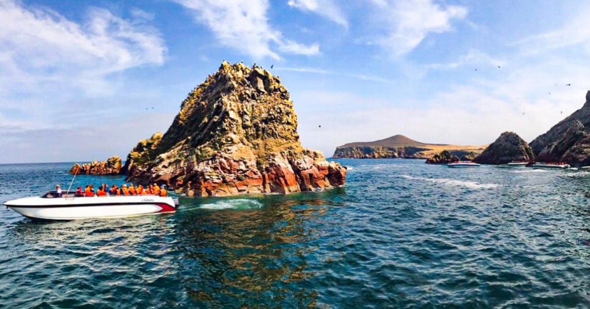 Tour: Abenteuer Ballestas Inseln & Paracas Reservat | GetYourGuide