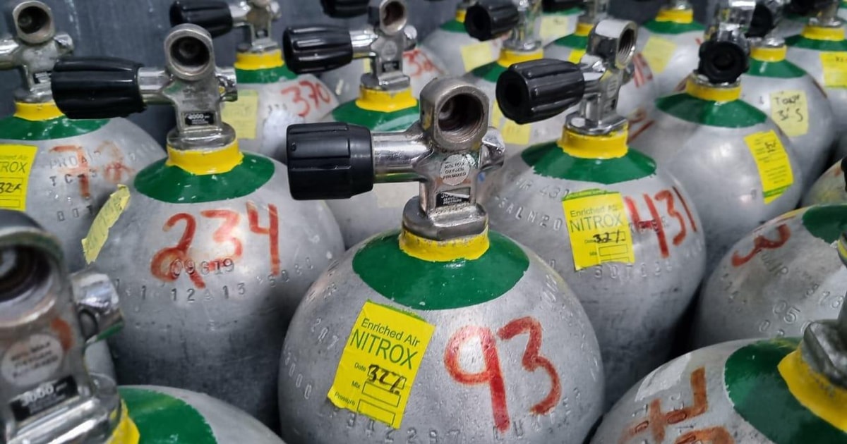 Cancun: PADI Enriched Air Nitrox Course | GetYourGuide