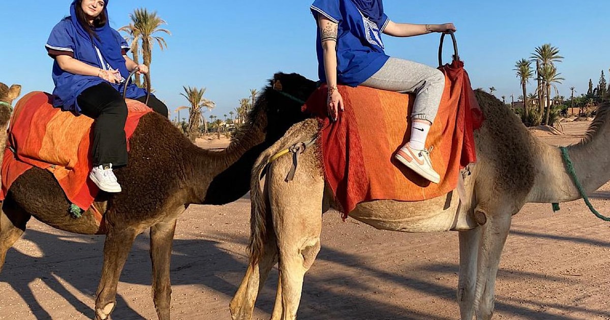 Giro in cammello nel palmeto di Marrakech | GetYourGuide