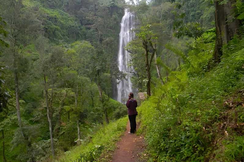 Materuni: Coffee Making and Waterfall Hike Day Trip | GetYourGuide