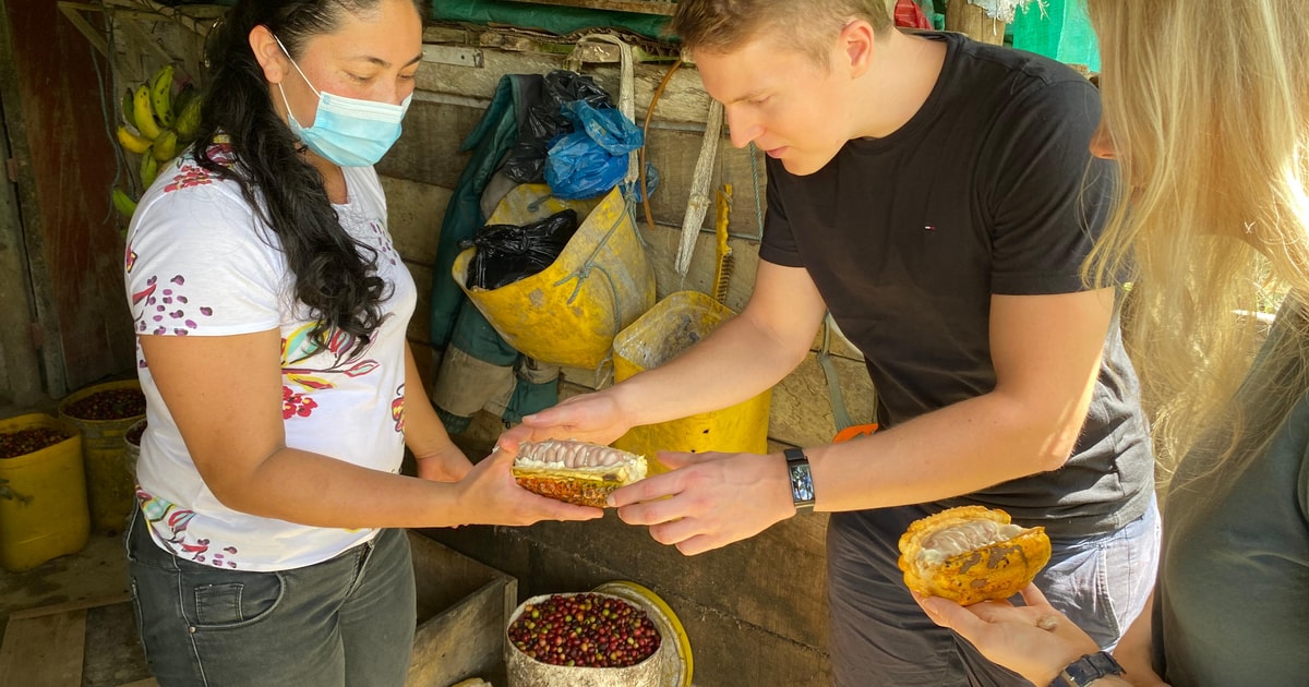 Ruta del chocolate cerca de Medellín | GetYourGuide