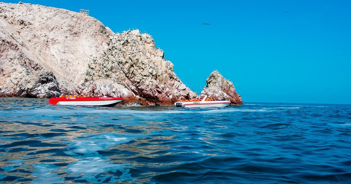 Avventura a Paracas: isole Ballestas, dune e deserto | GetYourGuide
