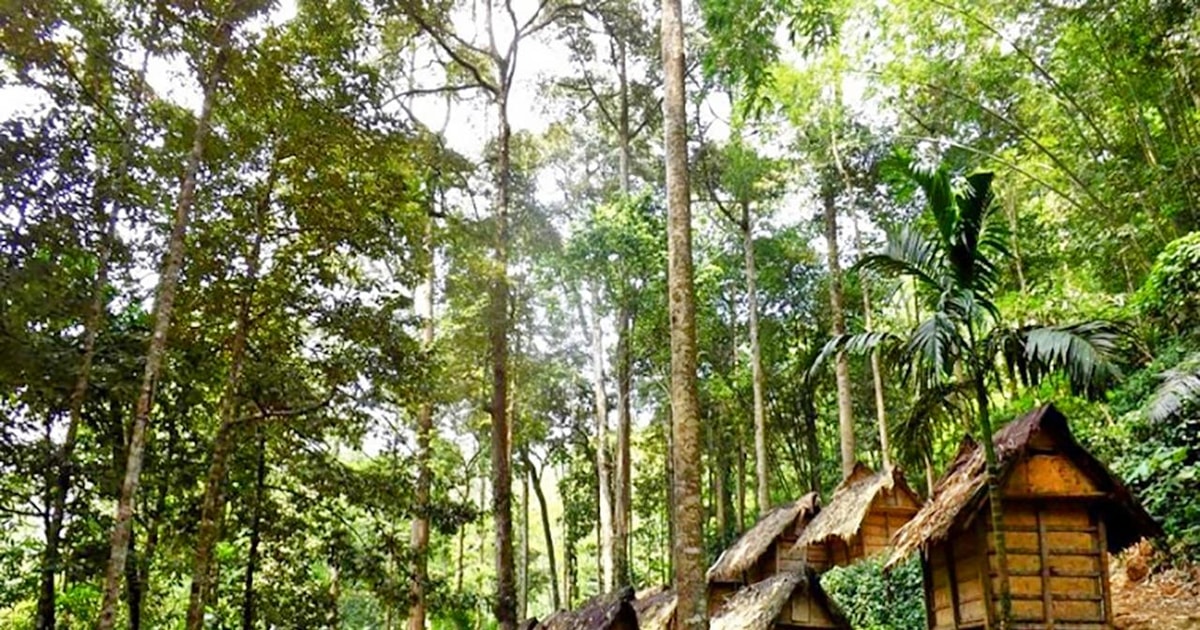 Vanuit Jakarta : Privétour in 3 Dagen Vulkaan, Baduy Dorp | GetYourGuide