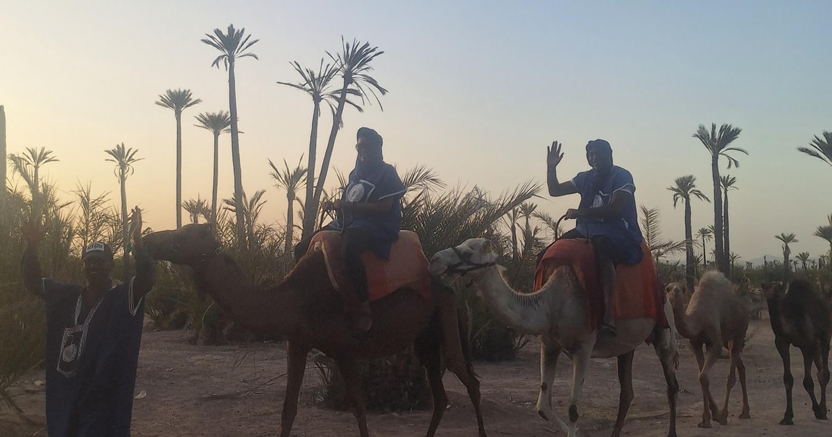 Marrakesh: Camel ride on the Palmeraie | GetYourGuide