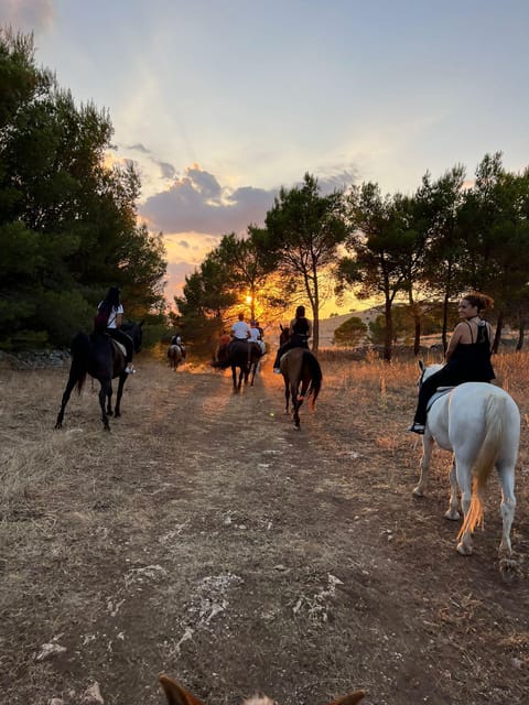 Matera_Sunset Horse Back Riding Tour on Murgia Park | GetYourGuide
