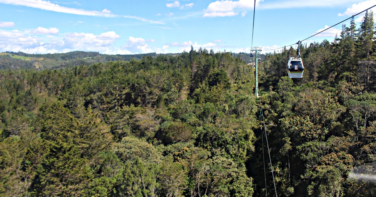Arvi park walking tour and city views from metrocable. | GetYourGuide
