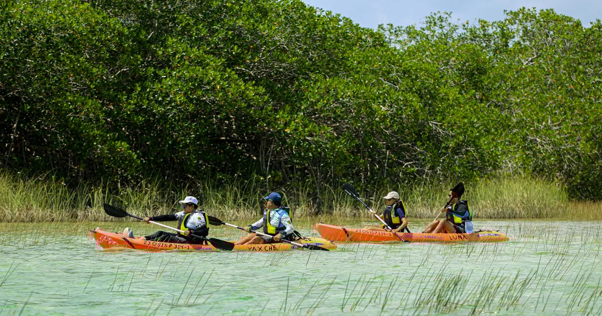 Tulum: Sian Ka'an Biosphere Reserve Kayak Tour | GetYourGuide
