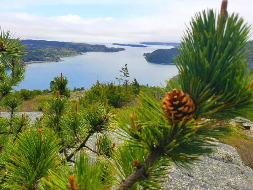3 Hour Private Tour: Insiders tour of Acadia National Park | GetYourGuide