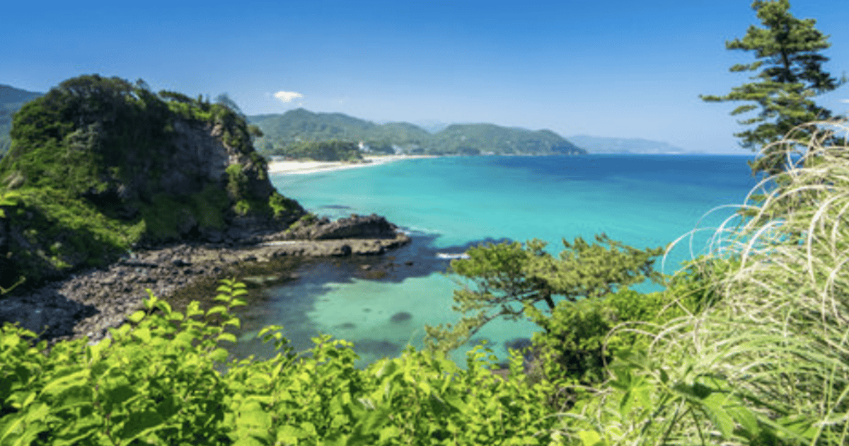 Vanuit Tokio: Privé dagtrip naar Izu & Shimoda, Shizuoka | GetYourGuide